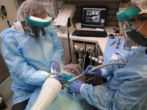 Safe Mercury Amalgam Removal - Functional Biological Holistic Dentist ...